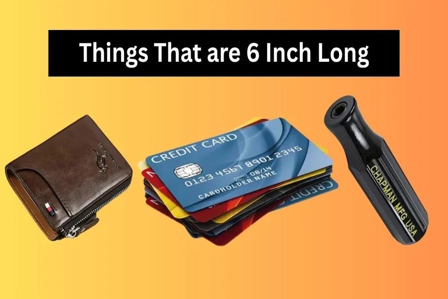 Things Longer Than 6 Inches Found in Daily Life
